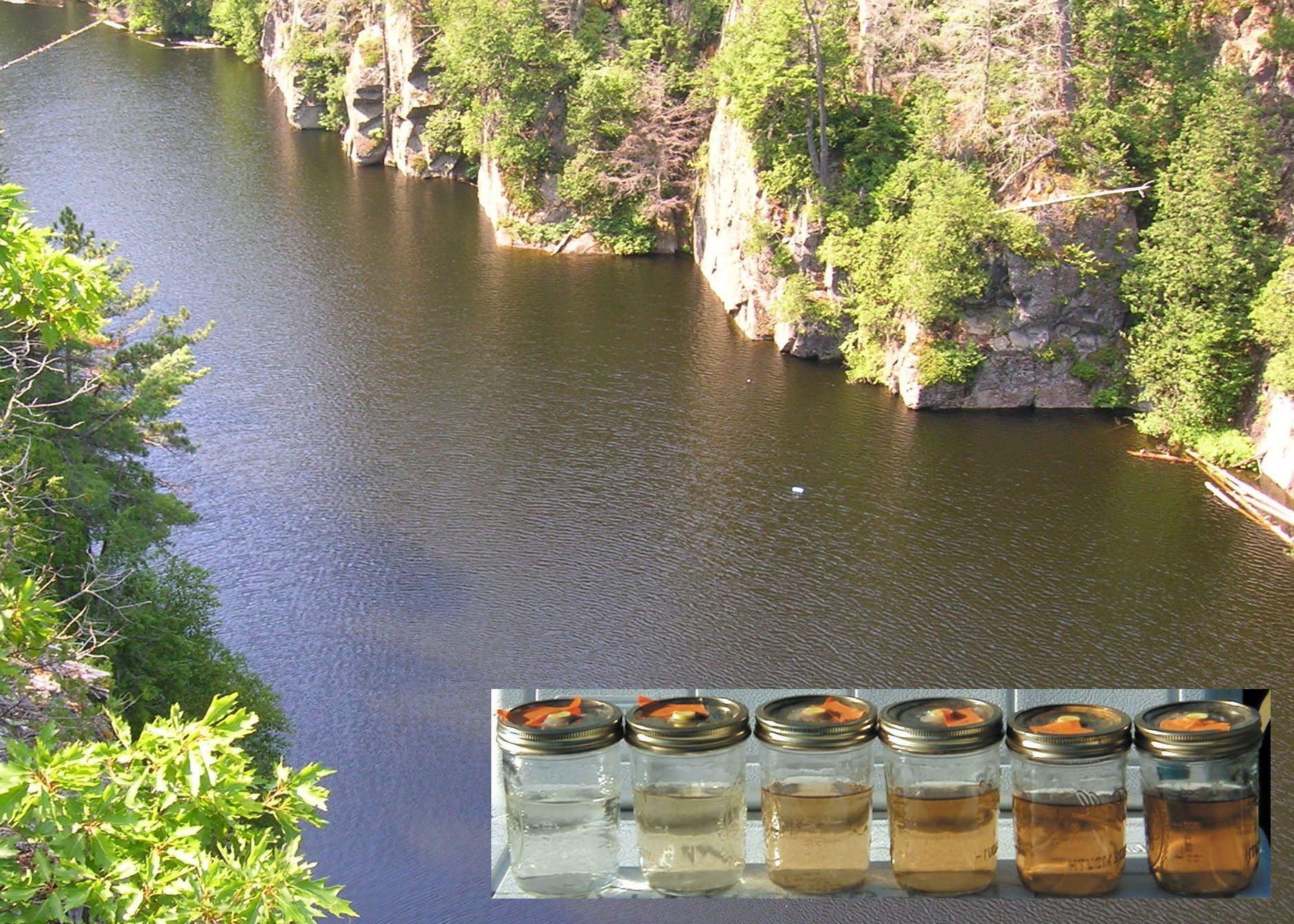 Research - Muscarella Lab